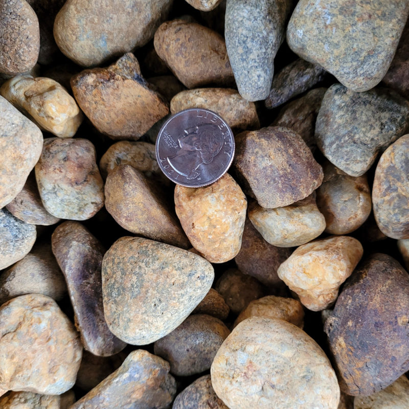 Bagged Stone Egg Rock | Van Putte Gardens