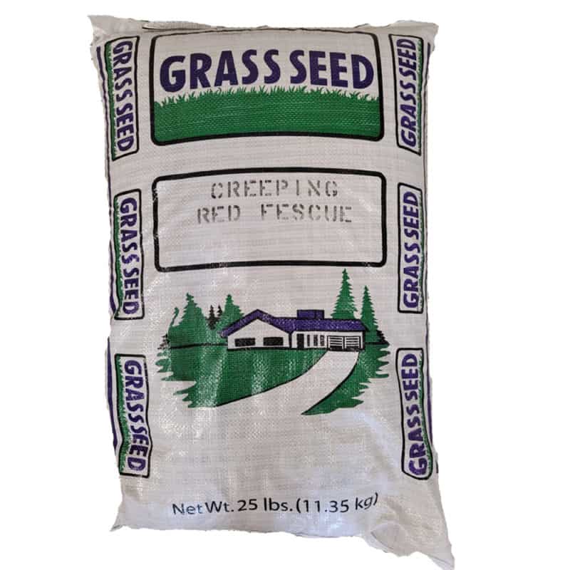 Creeping Red Fescue 25 lb. | Van Putte Gardens