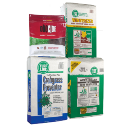 Green Thumb Specials | Van Putte Gardens