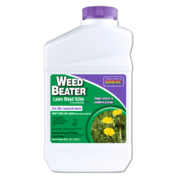 Bonide Weed Beater Lawn Weed Killer Concentrate 40OZ | Van Putte Gardens