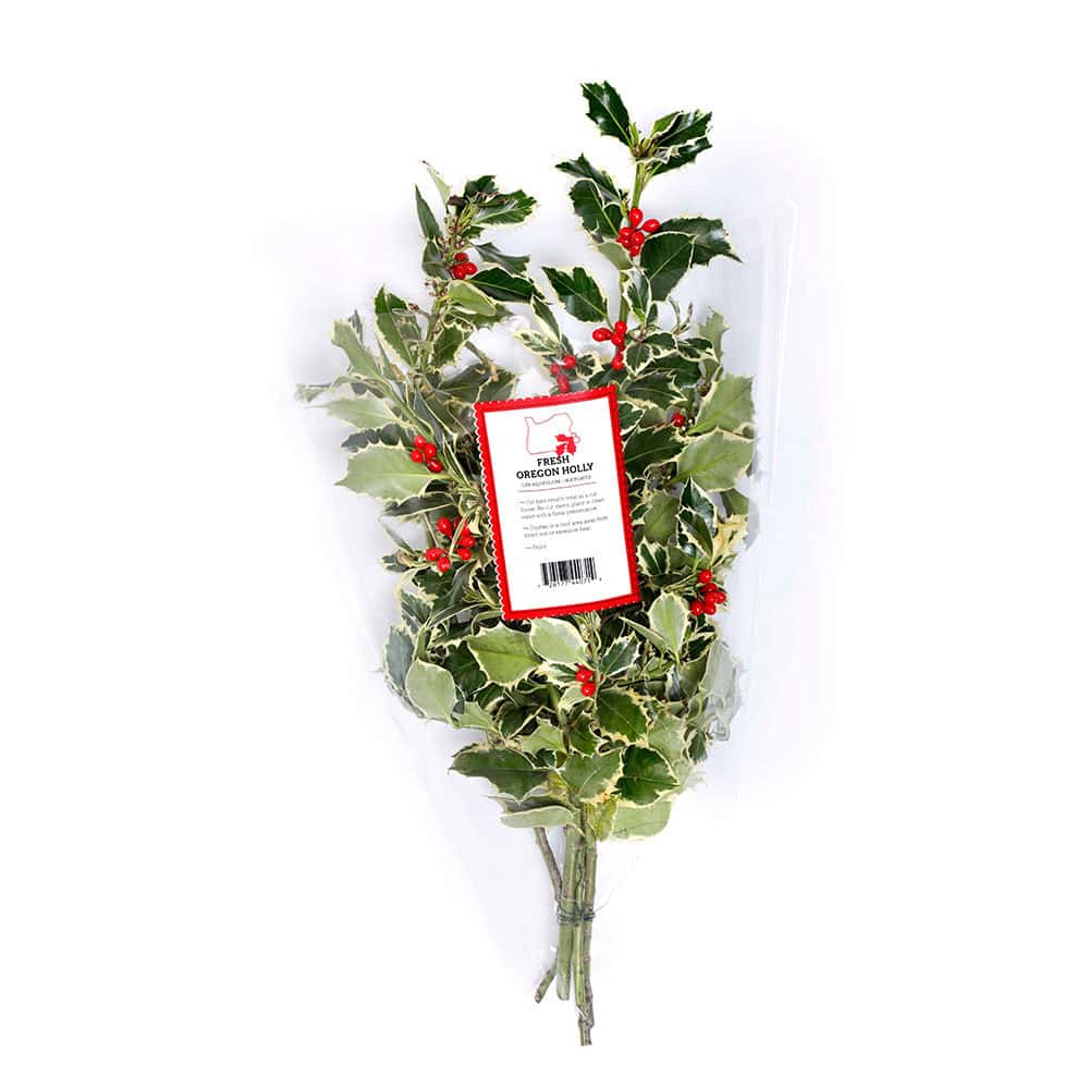 Fresh Holly Bunch - Variegated | Van Putte Gardens